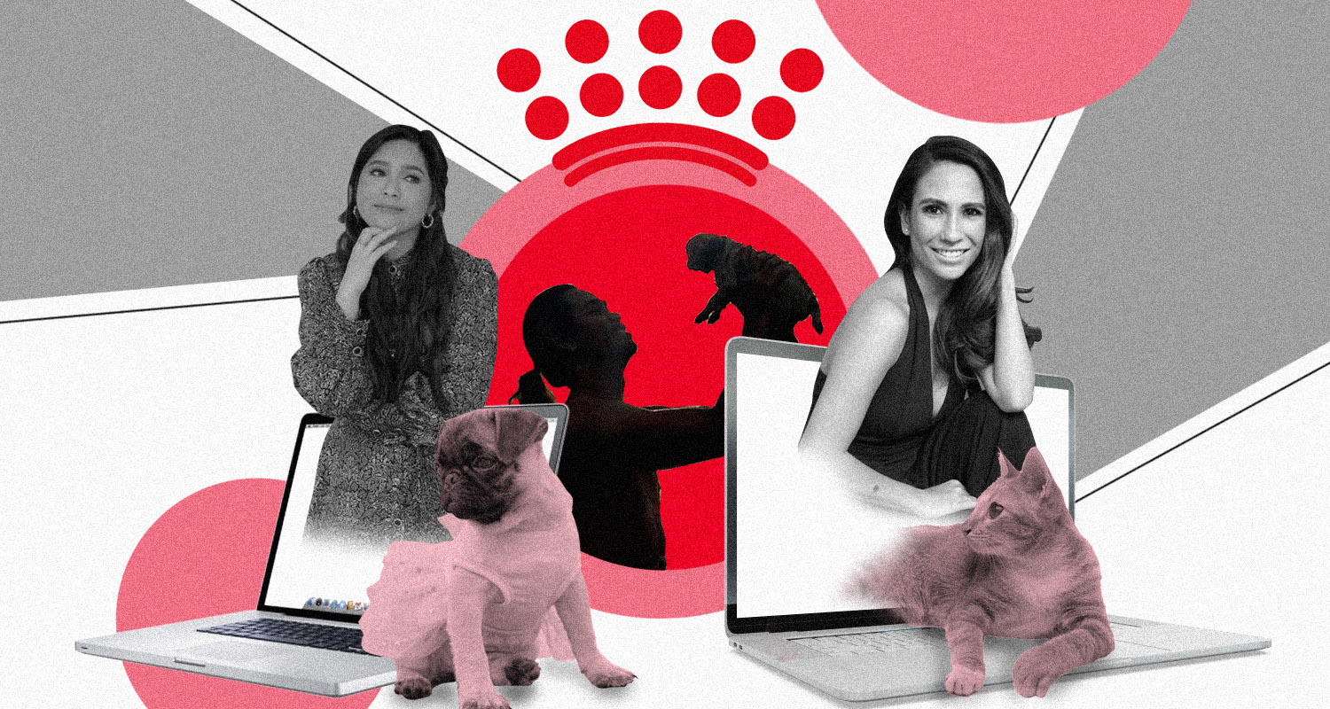 Calling All Fur-Parents! Tune Into This Webinar for Free Pet Care Tips ...