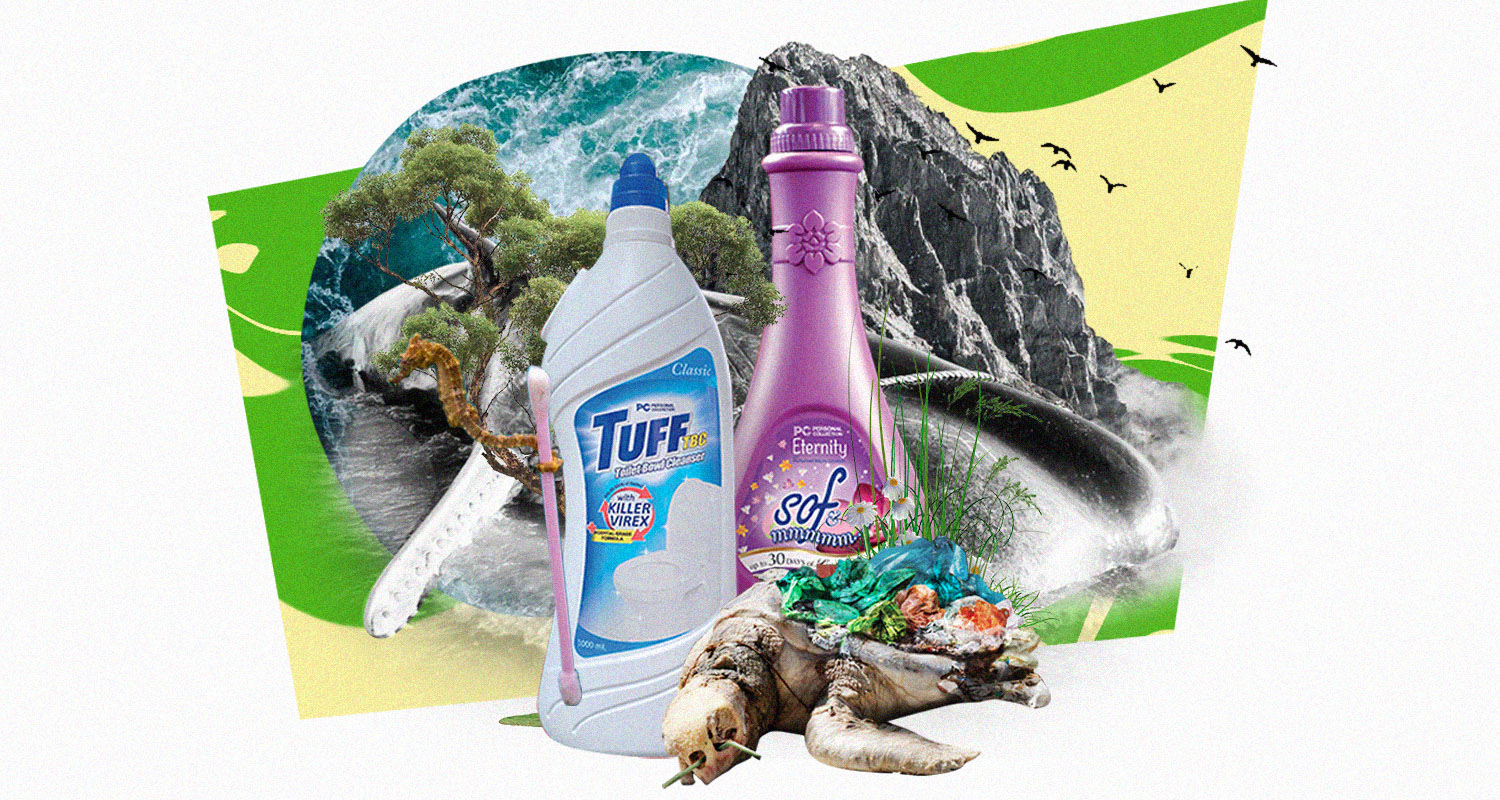 Filipino-Owned Company Launches Biodegradable Packaging for Line of ...