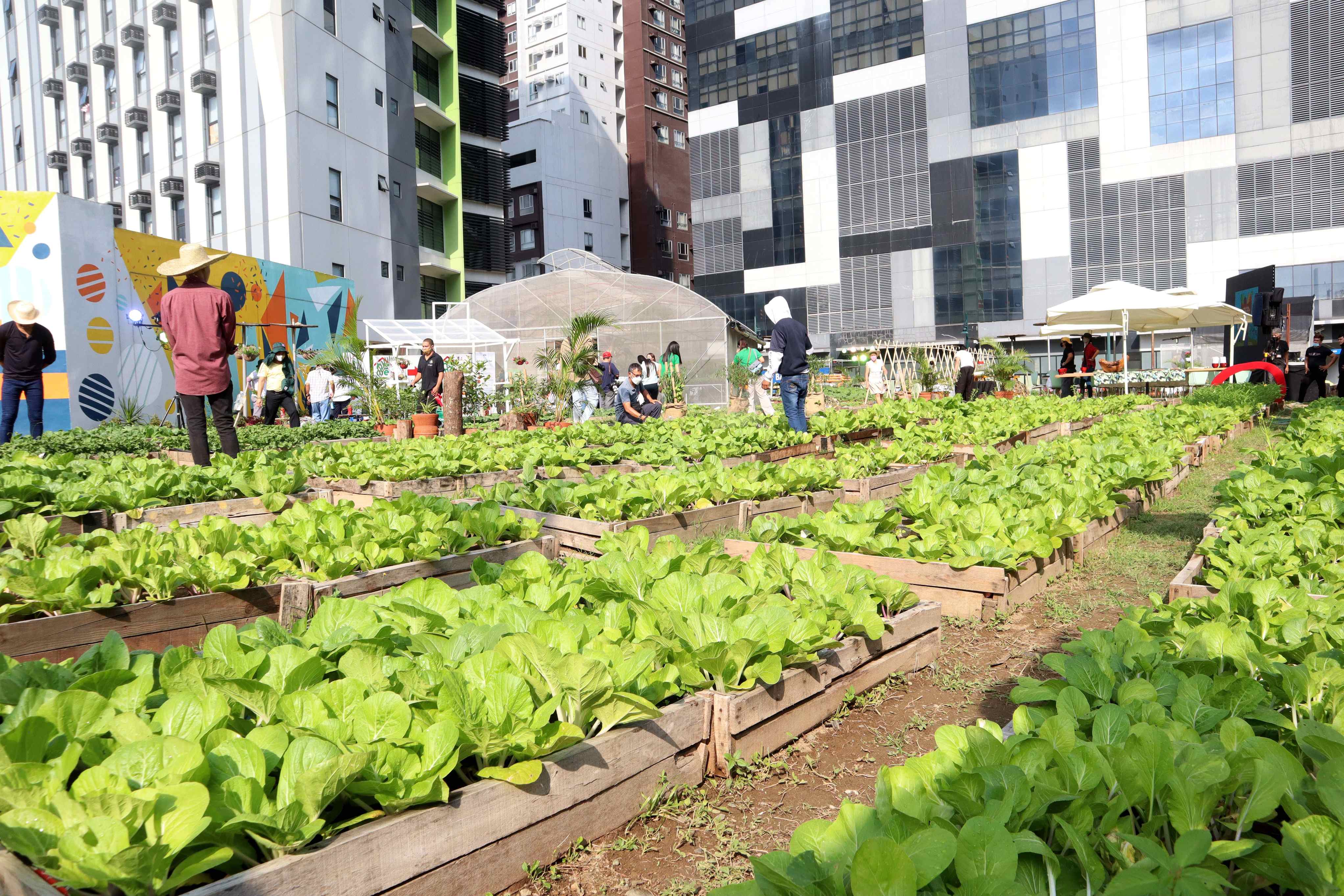 BGC-URBAN-FARM-1-1 – Rank Magazine