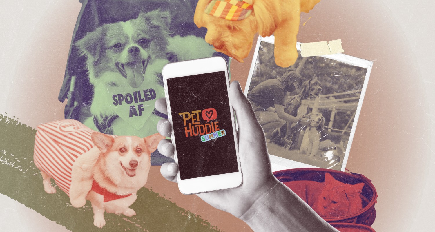 The Ultimate Summer 'Paw-ty' is Here with the Return of BGC's 'Pet Huddle'